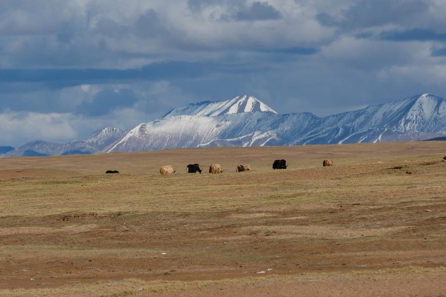 China luncurkan Dana Keanekaragaman Hayati Kunming untuk dukung ... China luncurkan Dana Keanekaragaman Hayati Kunming untuk dukung ...