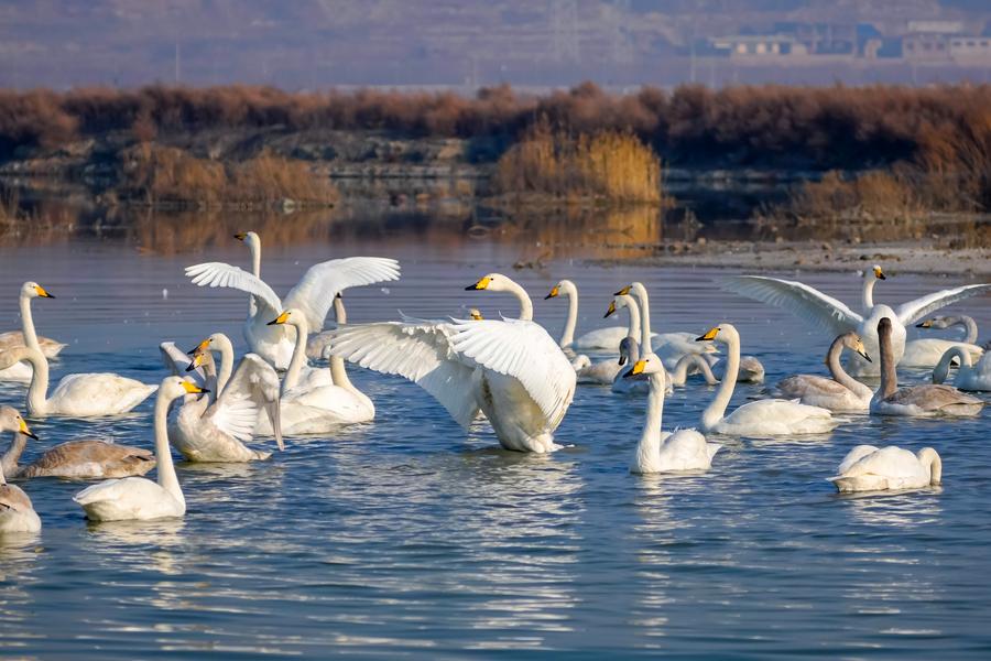 Danau garam di Shanxi, China utara, bertransformasi jadi ikon wisata ...