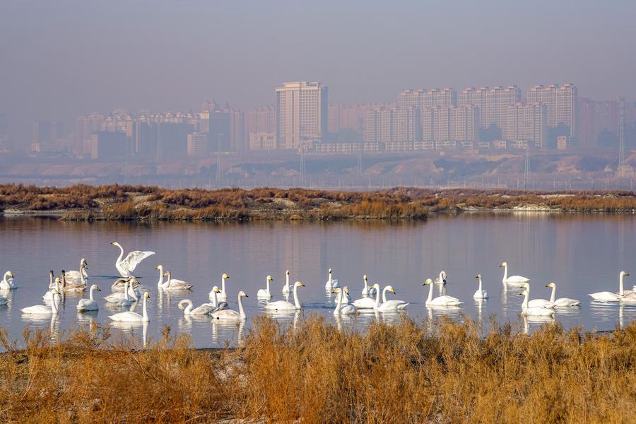 Danau garam di Shanxi, China utara, bertransformasi jadi ikon wisata ...
