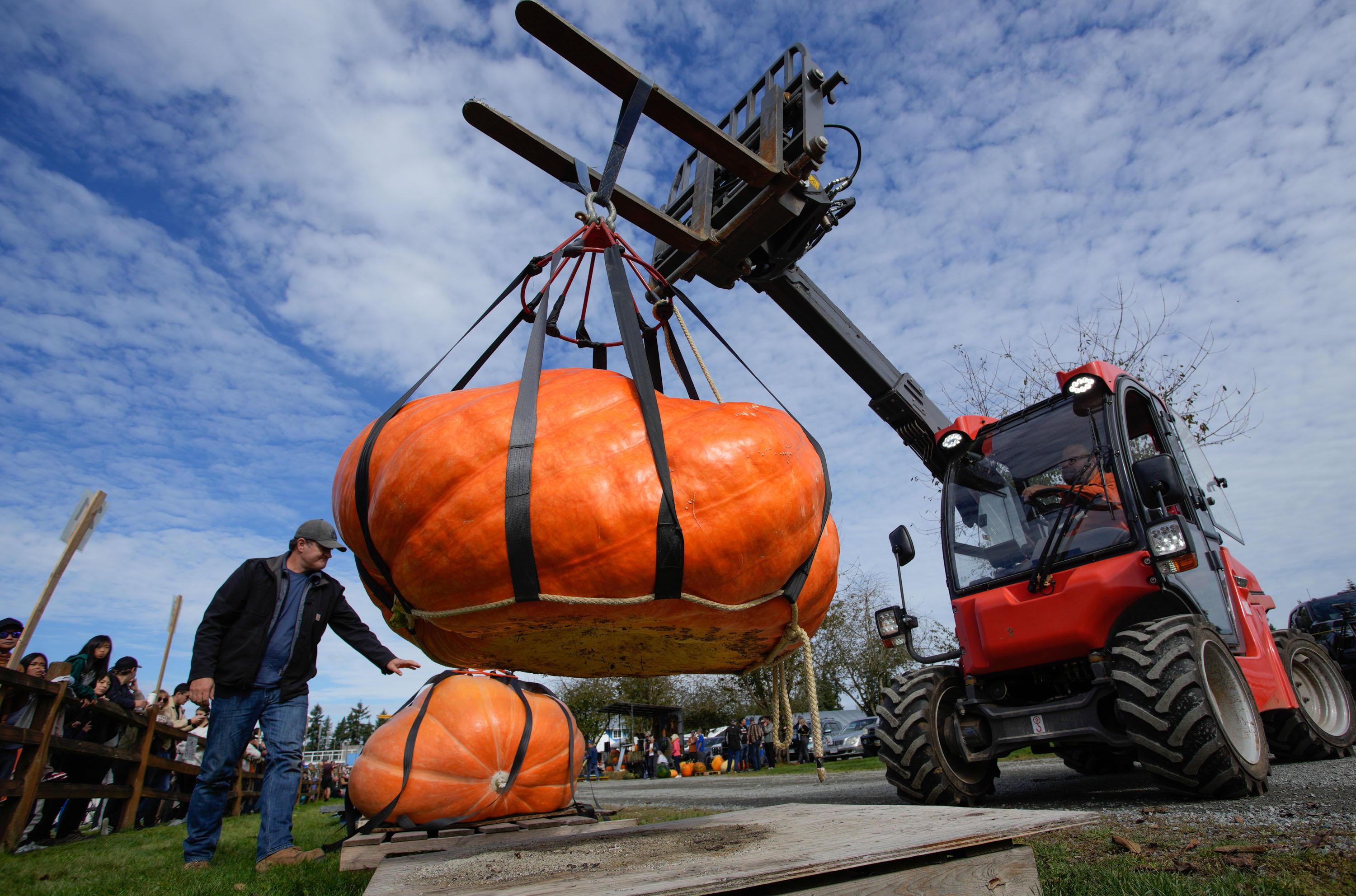 KANADA-LANGLEY-KOMPETISI PENIMBANGAN LABU RAKSASA-2
