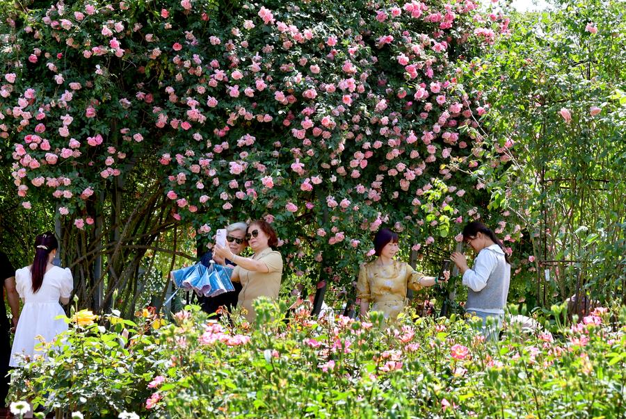 Menyusuri Semarak Pameran Bunga Internasional Shanghai di China