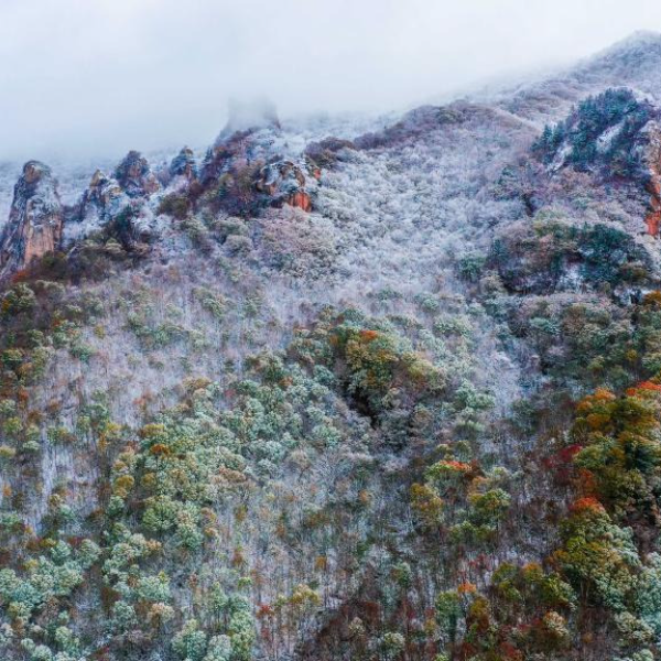 POTRET Salju di Taman Hutan Tianqiaogou dari Udara