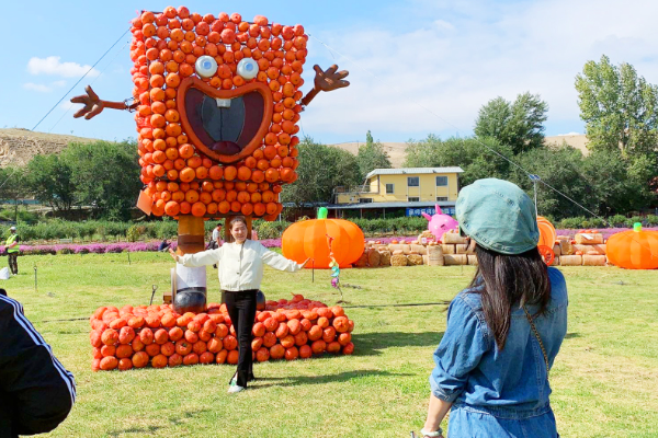 Labu Raksasa Dipamerkan di Xinjiang